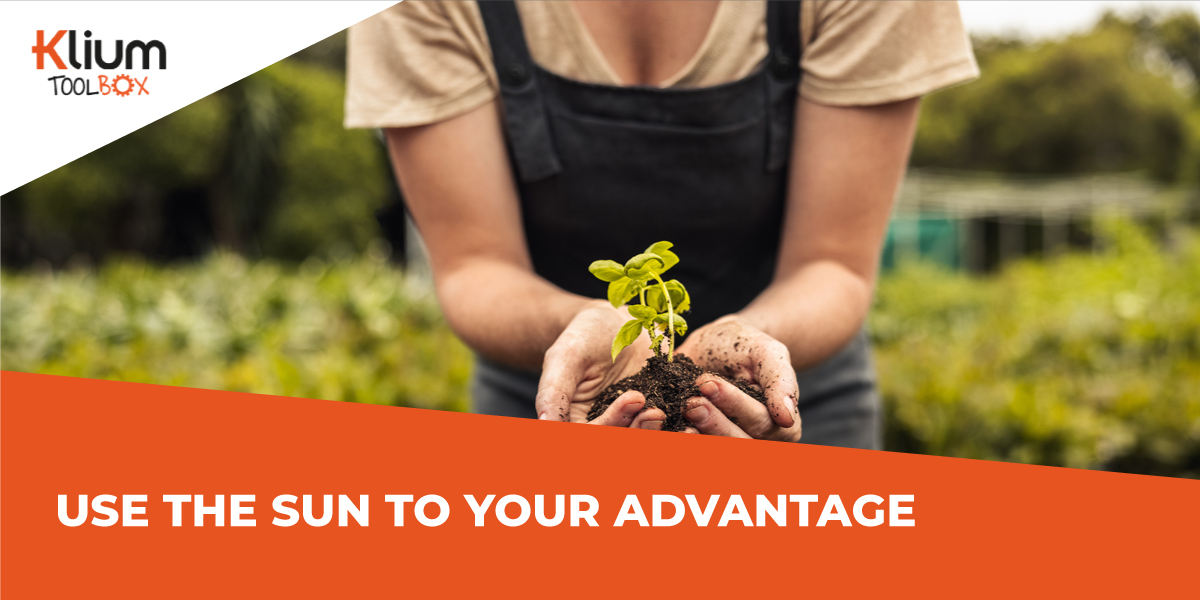 Tips for creating a self-sufficient garden